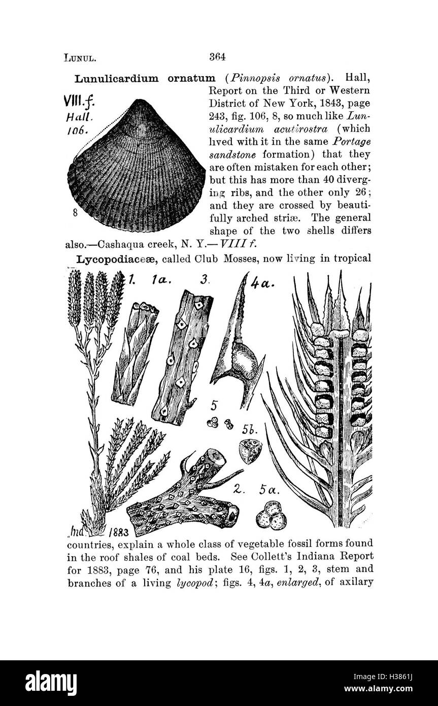 Information discovery Black and White Stock Photos & Images - Alamy