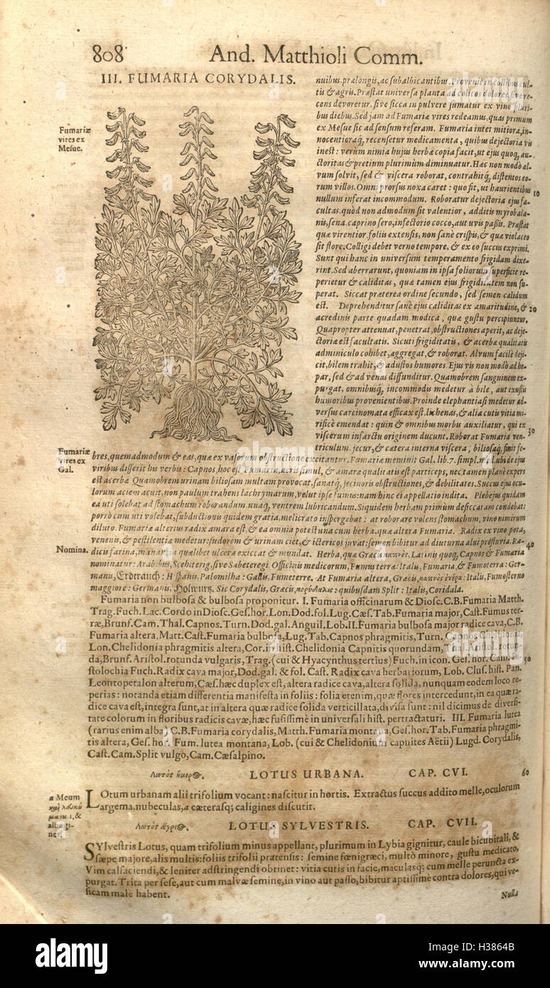 This work by Pietro Andrea Matthioli offers comprehensive commentaries ...