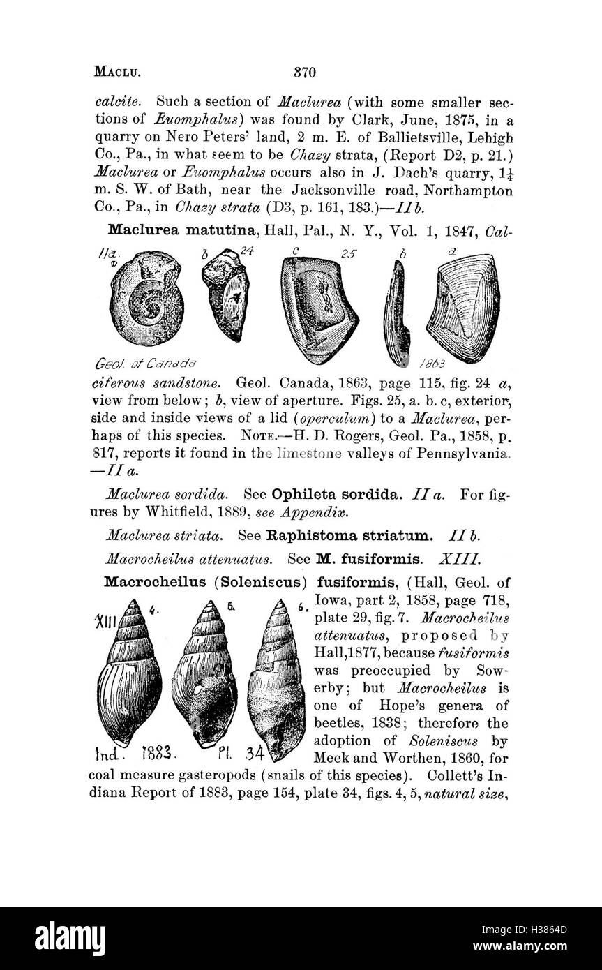 This page provides a dictionary of fossil records from Pennsylvania and ...