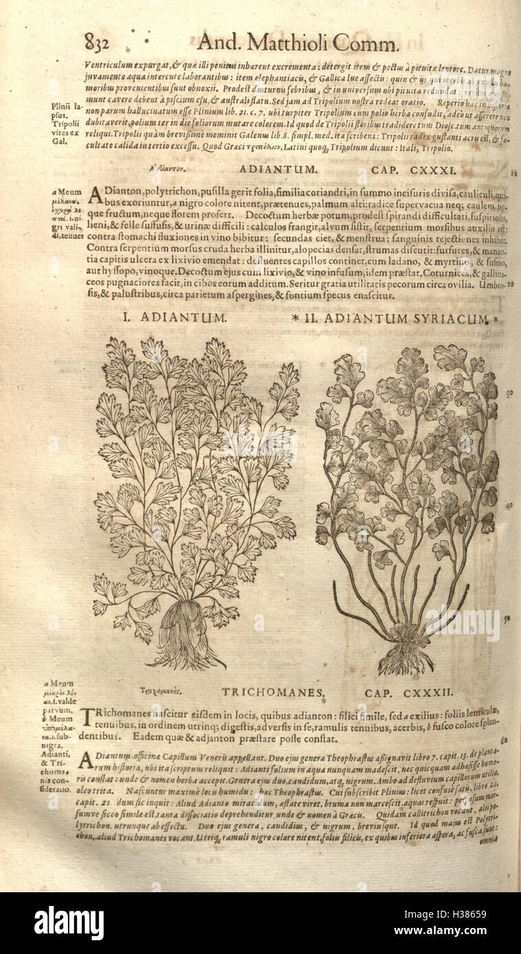 A complete edition of the works of Pietro Andrea Mattioli, including ...
