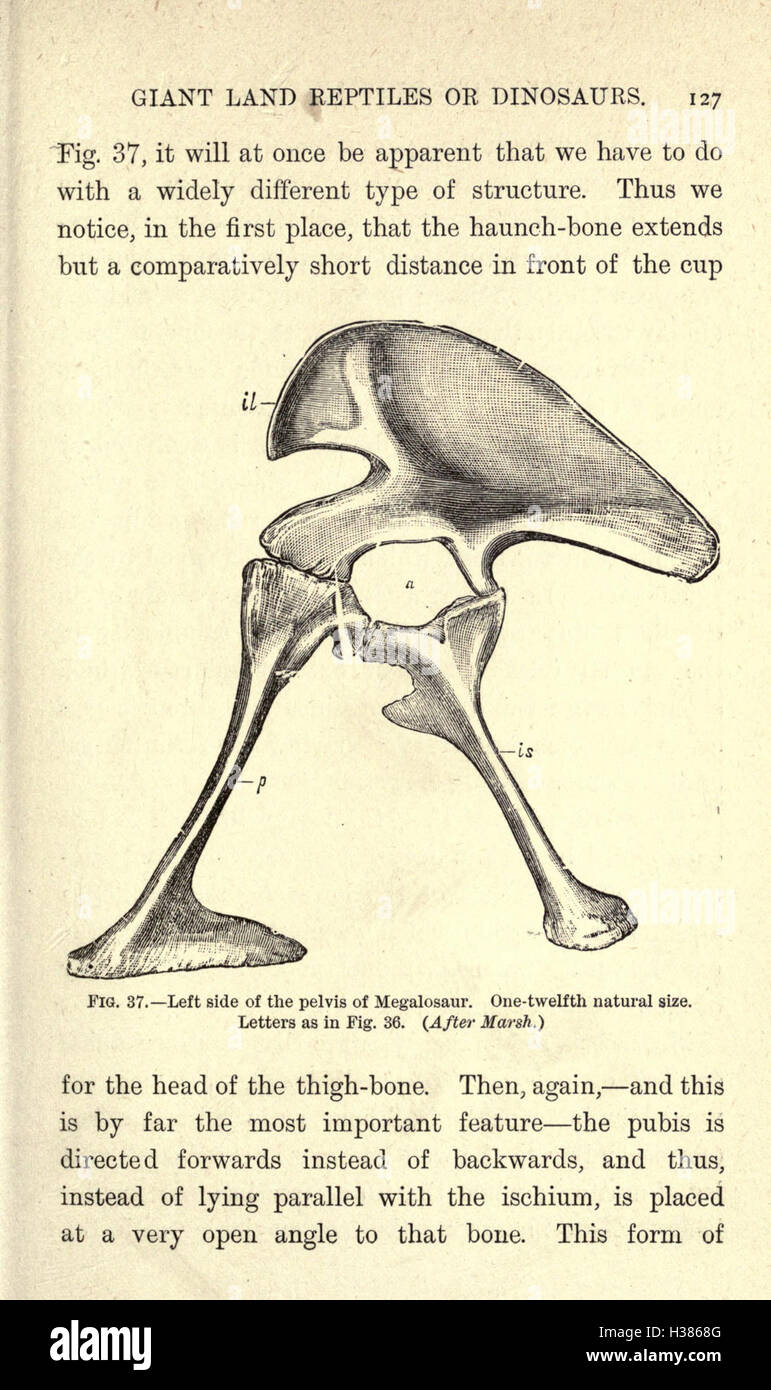 Work examines life cycle hi-res stock photography and images - Alamy