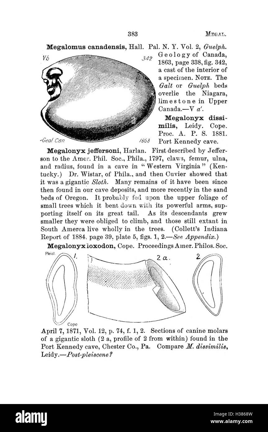 This dictionary provides an extensive list of fossils found in ...