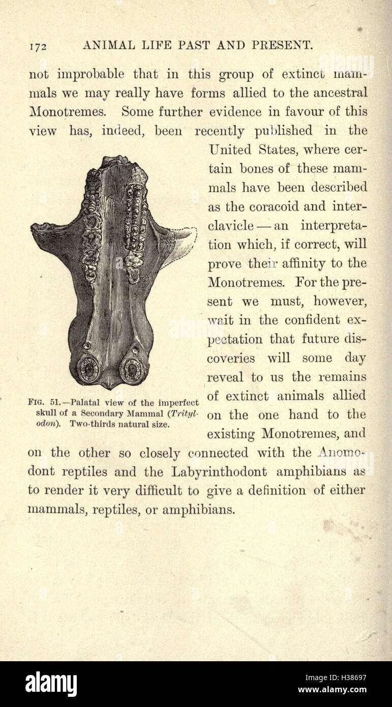 Comparing marine life diversity hi-res stock photography and images - Alamy
