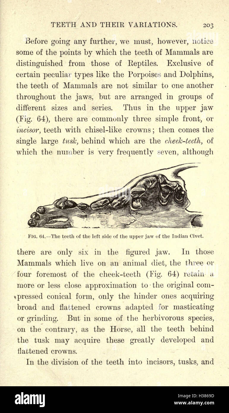 Different phases of life cycles hi-res stock photography and images - Alamy