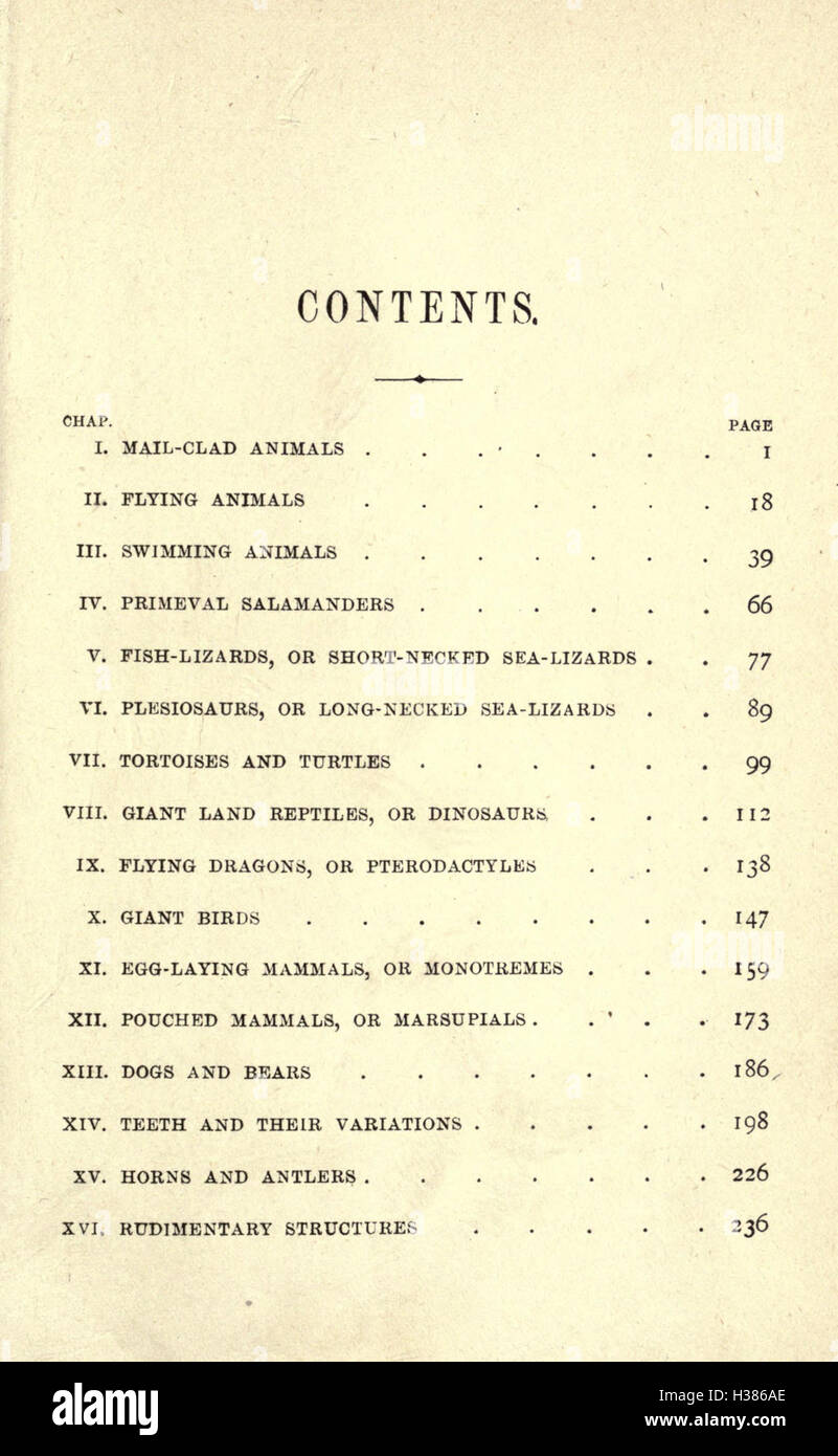 This page examines the different phases of animal life, comparing ...