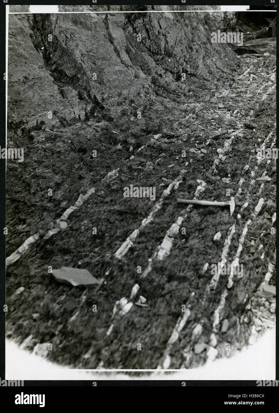 This collection of photographs from 1944 showcases the geological ...