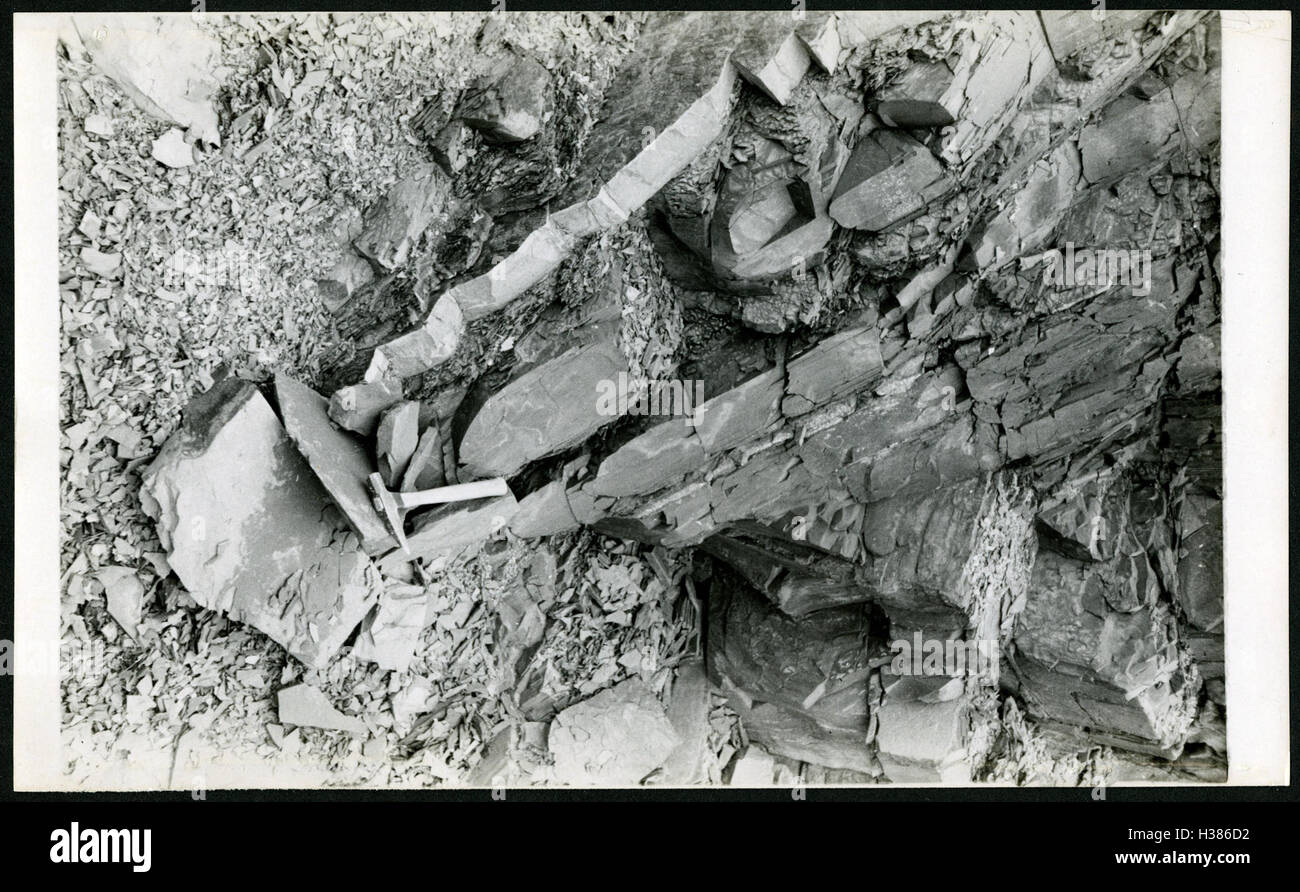 This collection of photographs from Quebec, taken in 1944, showcases ...