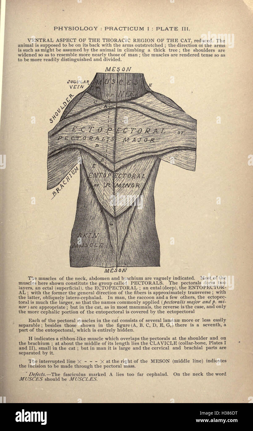 This work provides practical exercises in animal physiology, with an ...