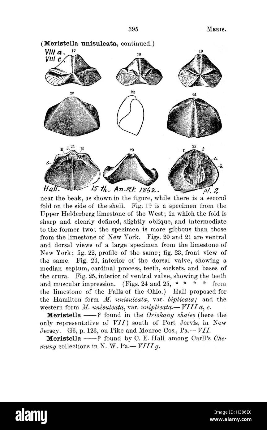 This dictionary provides an extensive compilation of fossil names from ...