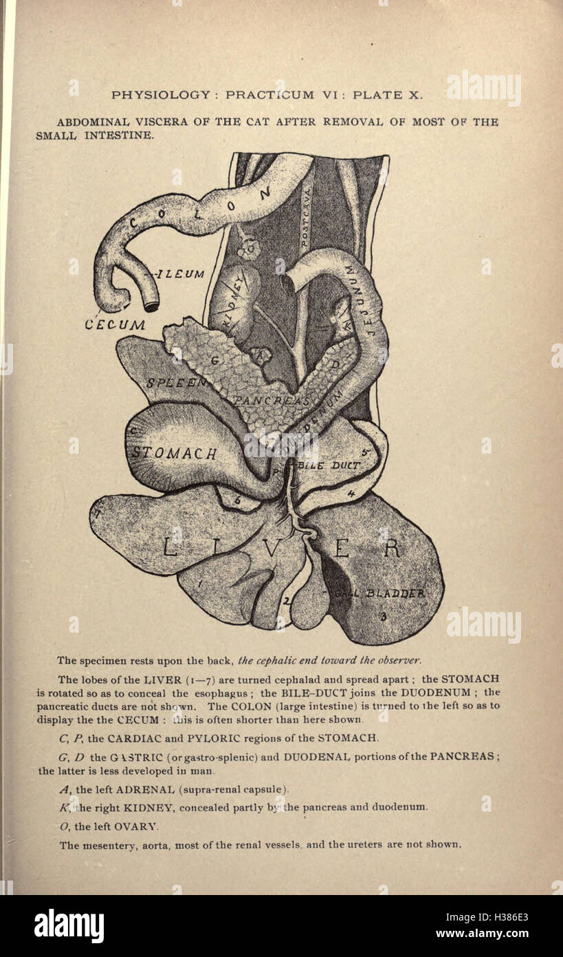 This page discusses physiology practicums, which are educational ...