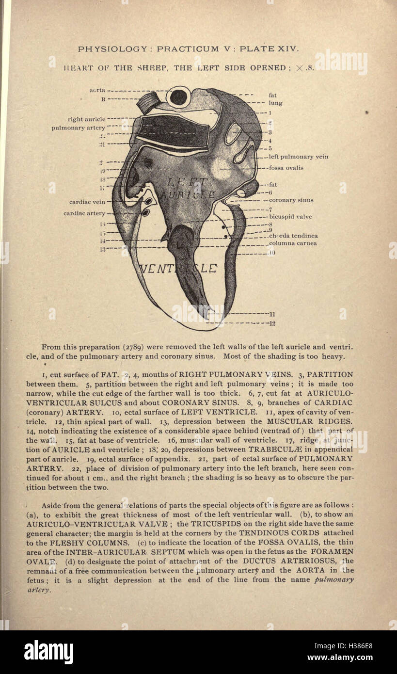 This manual offers practical exercises and instructions in physiology ...