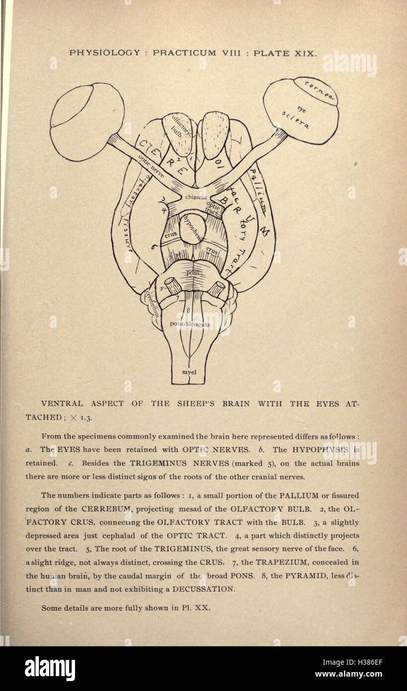 A collection of practical exercises focused on the physiological ...