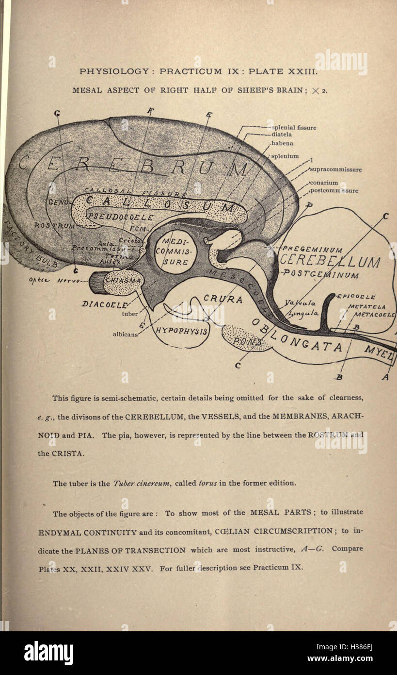 This book offers practical exercises in physiology, covering key ...