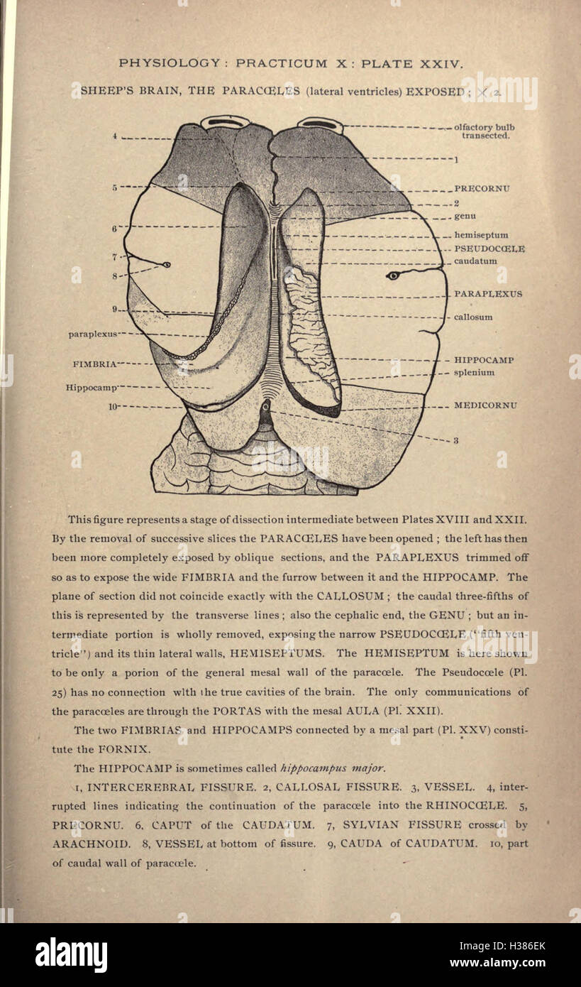 Physiology practicums are hands-on learning exercises designed to give ...