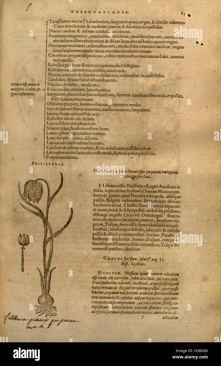 This botanical work offers detailed descriptions of plants, their ...