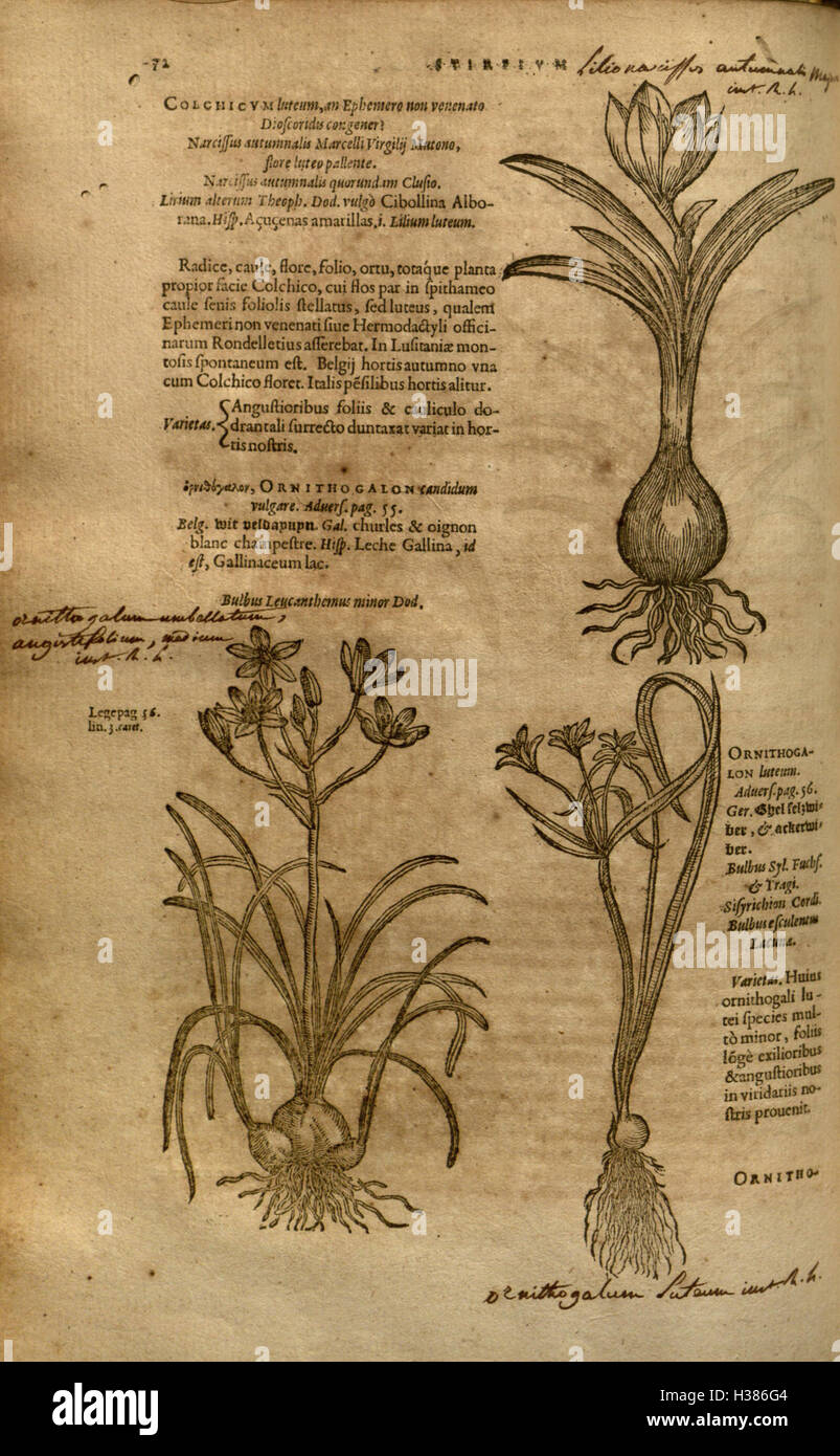 This work provides a detailed history and classification of plants ...