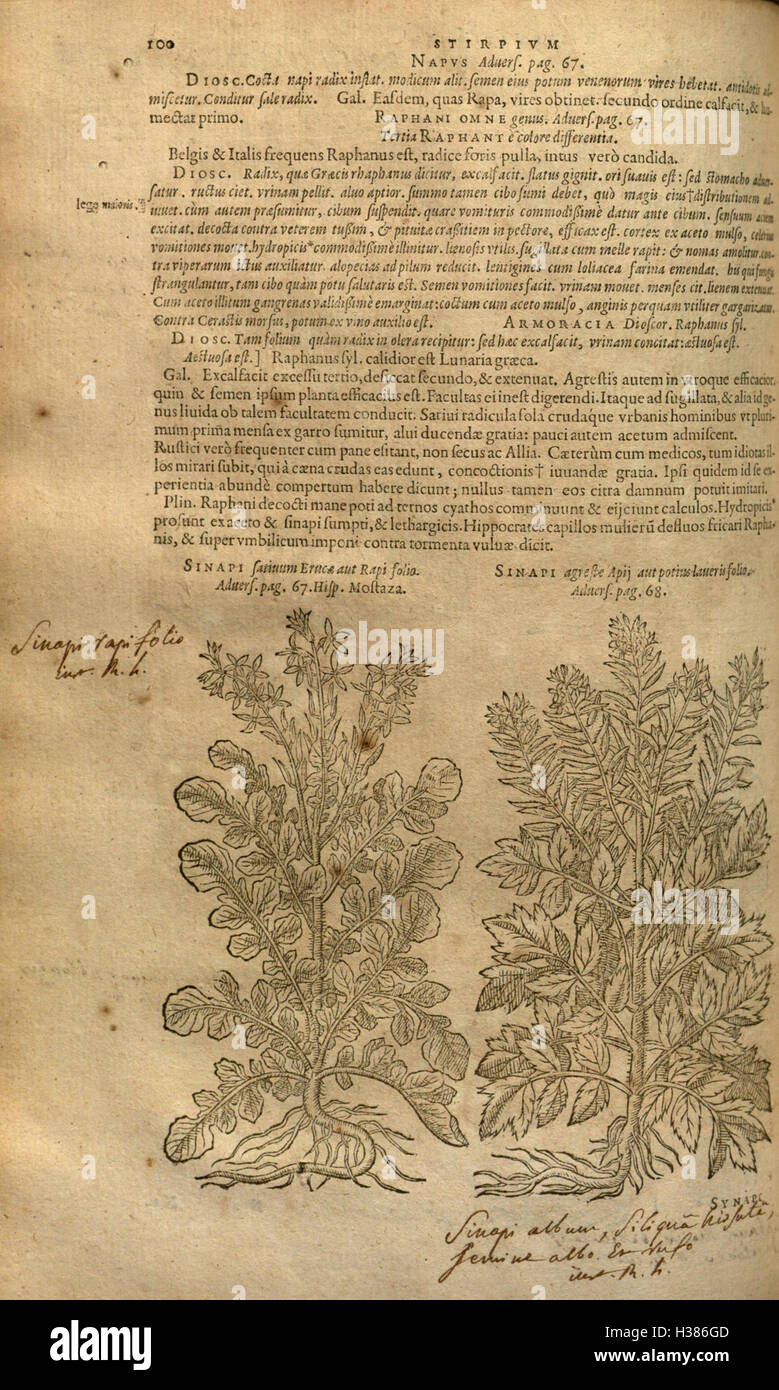 Linnaeus’ work provides comprehensive descriptions and classifications ...