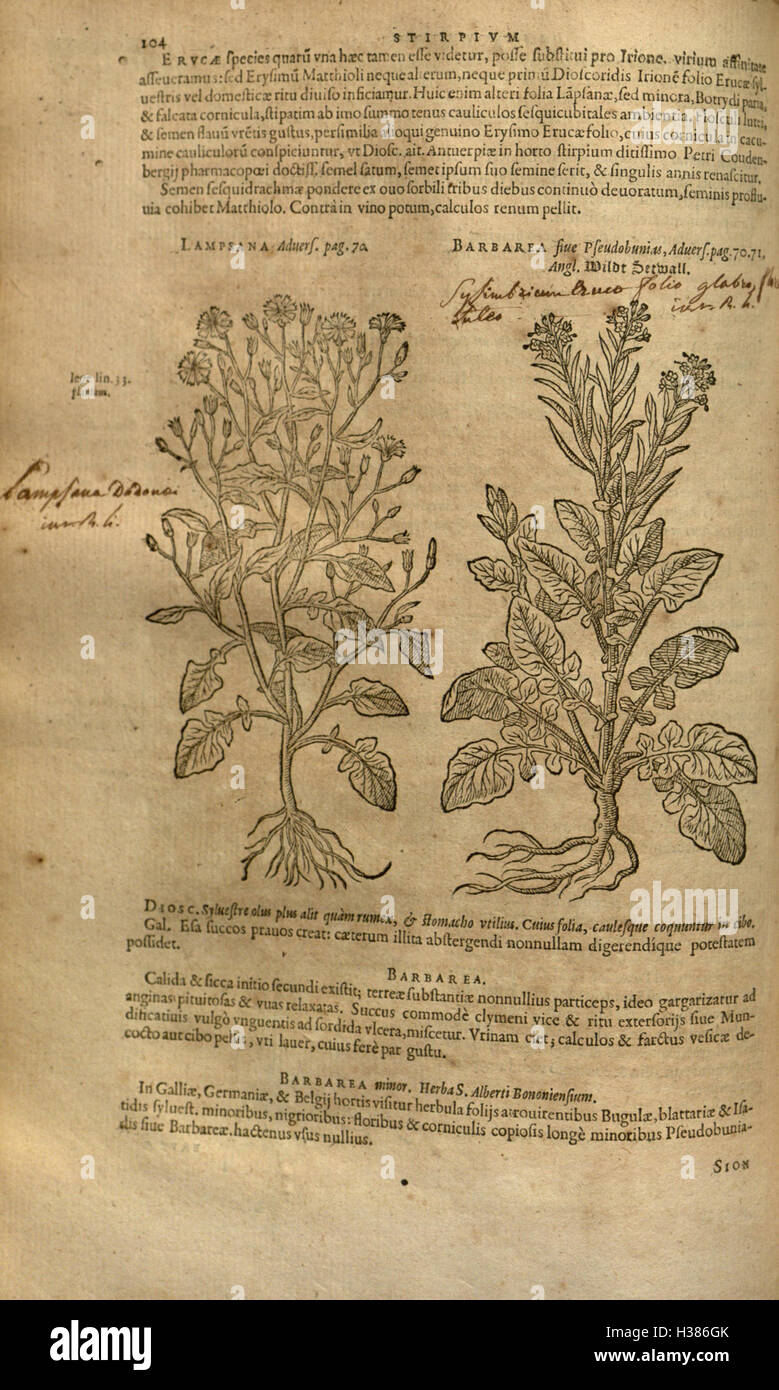 This botanical work explores the history and classification of plants ...