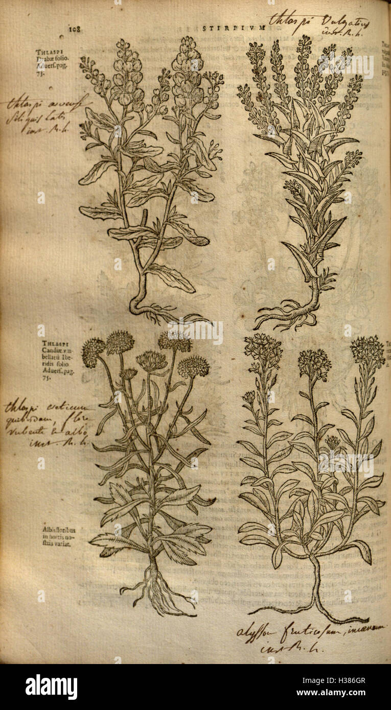 This botanical work provides an in-depth history of plant species ...