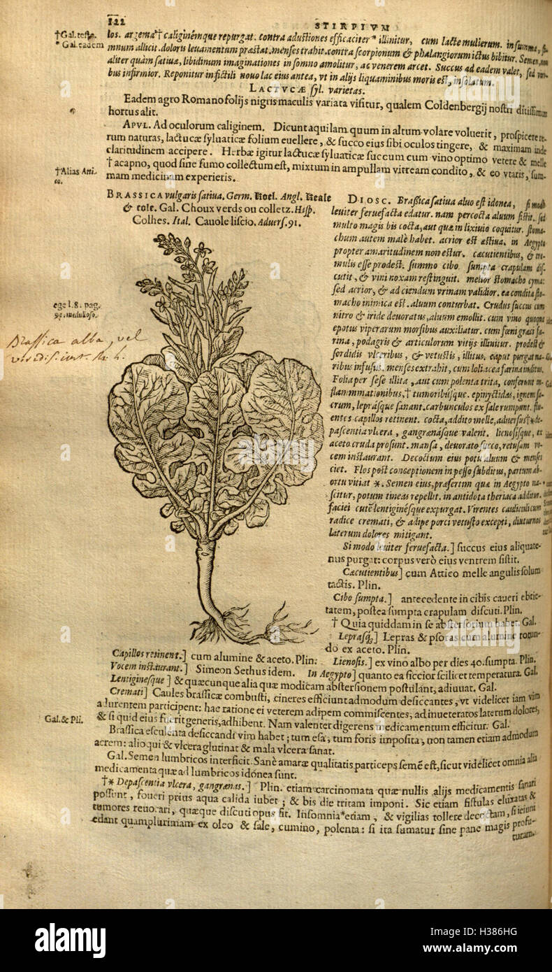 A continuation of the botanical history and classification of plants ...