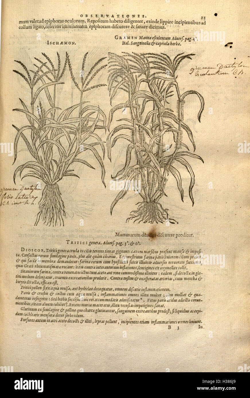 This work provides a history of plants and their classification ...