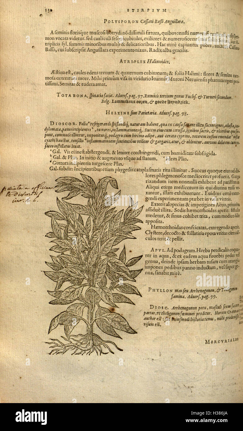 This botanical work explores the history and classification of plant ...