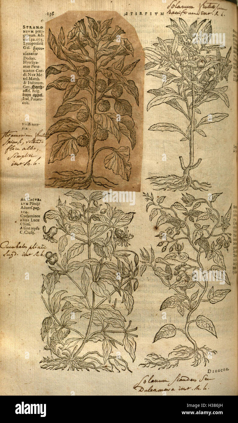 This historical work offers a detailed study of plant species and their ...