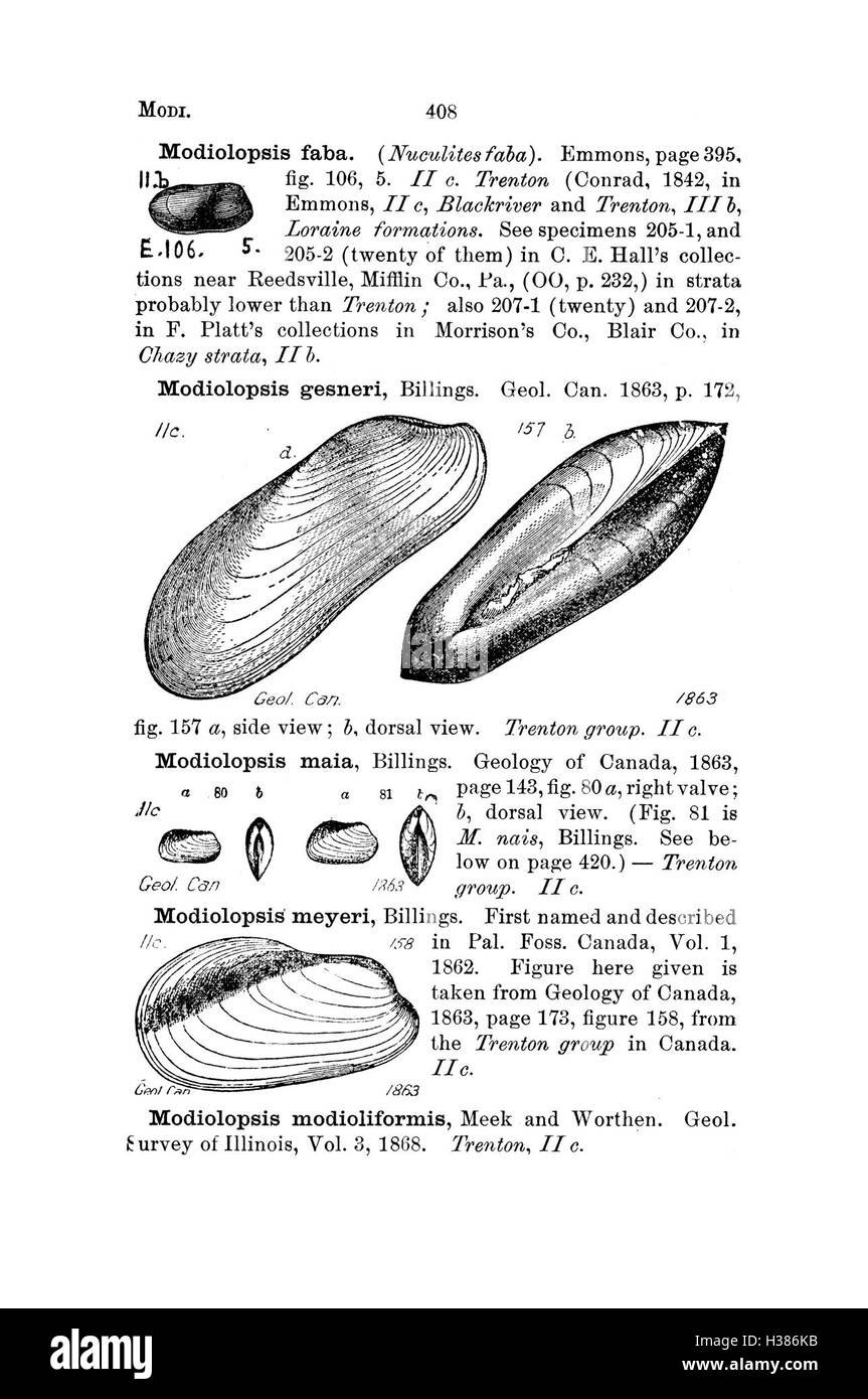 This dictionary provides a comprehensive listing of fossils found in ...