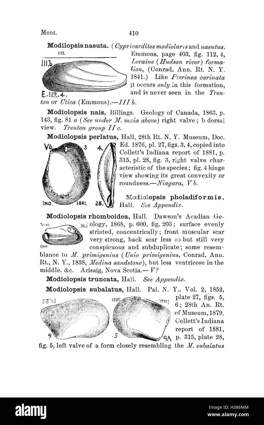 This dictionary provides a comprehensive list of fossil species found ...