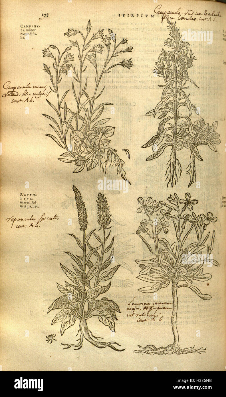 This is a detailed botanical history of plants, exploring the ...