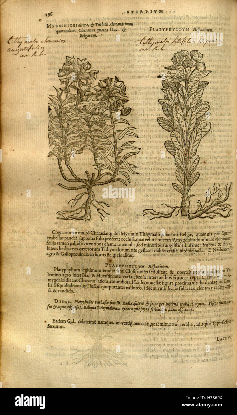 This botanical work focuses on the classification, description, and ...