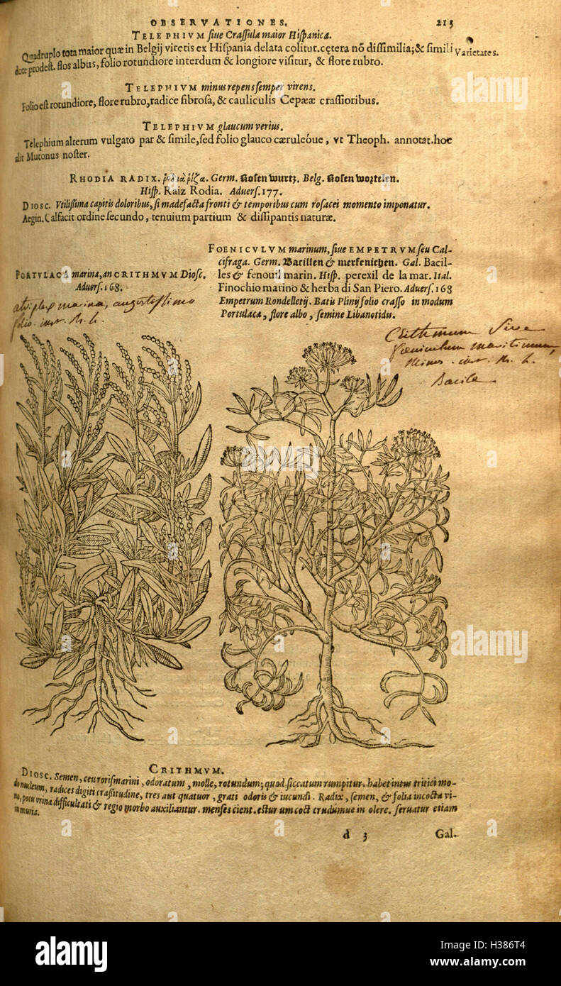 This botanical work focuses on the history and classification of plants ...