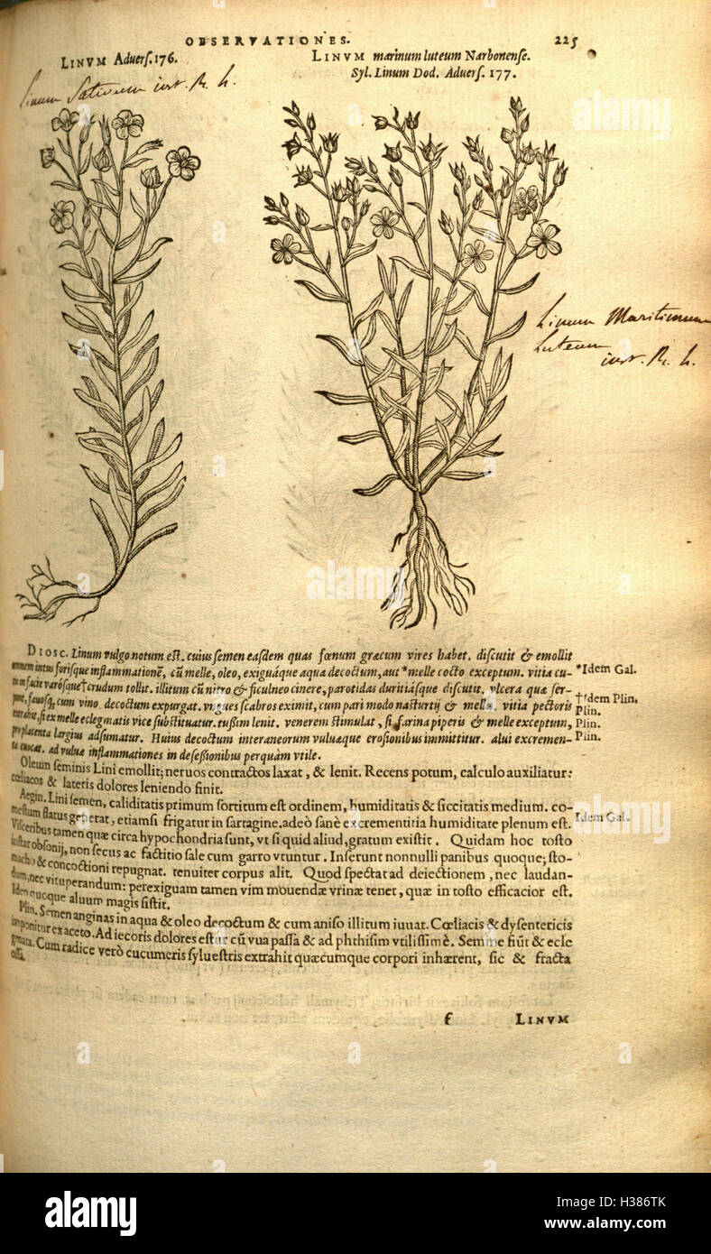 This botanical text offers a detailed history of plant species, their ...