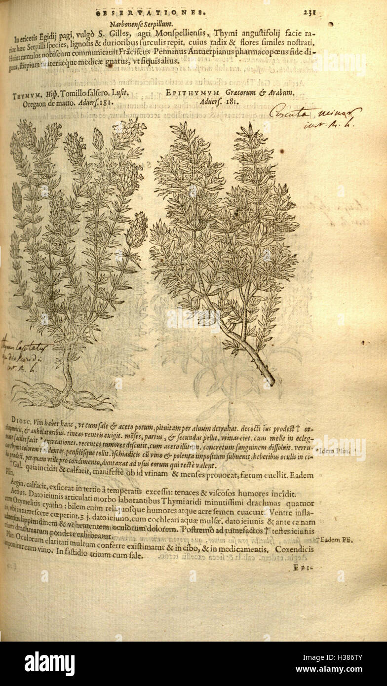 This botanical work provides a detailed description of various plant ...