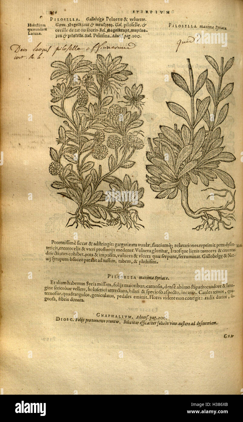 This botanical work provides a history of plant species and their uses ...