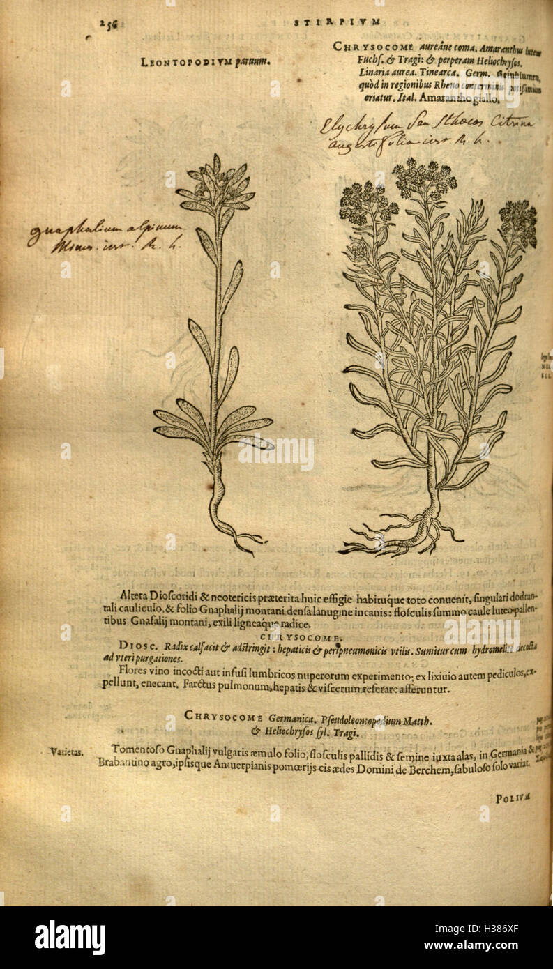 This botanical work provides a detailed study of plant species ...
