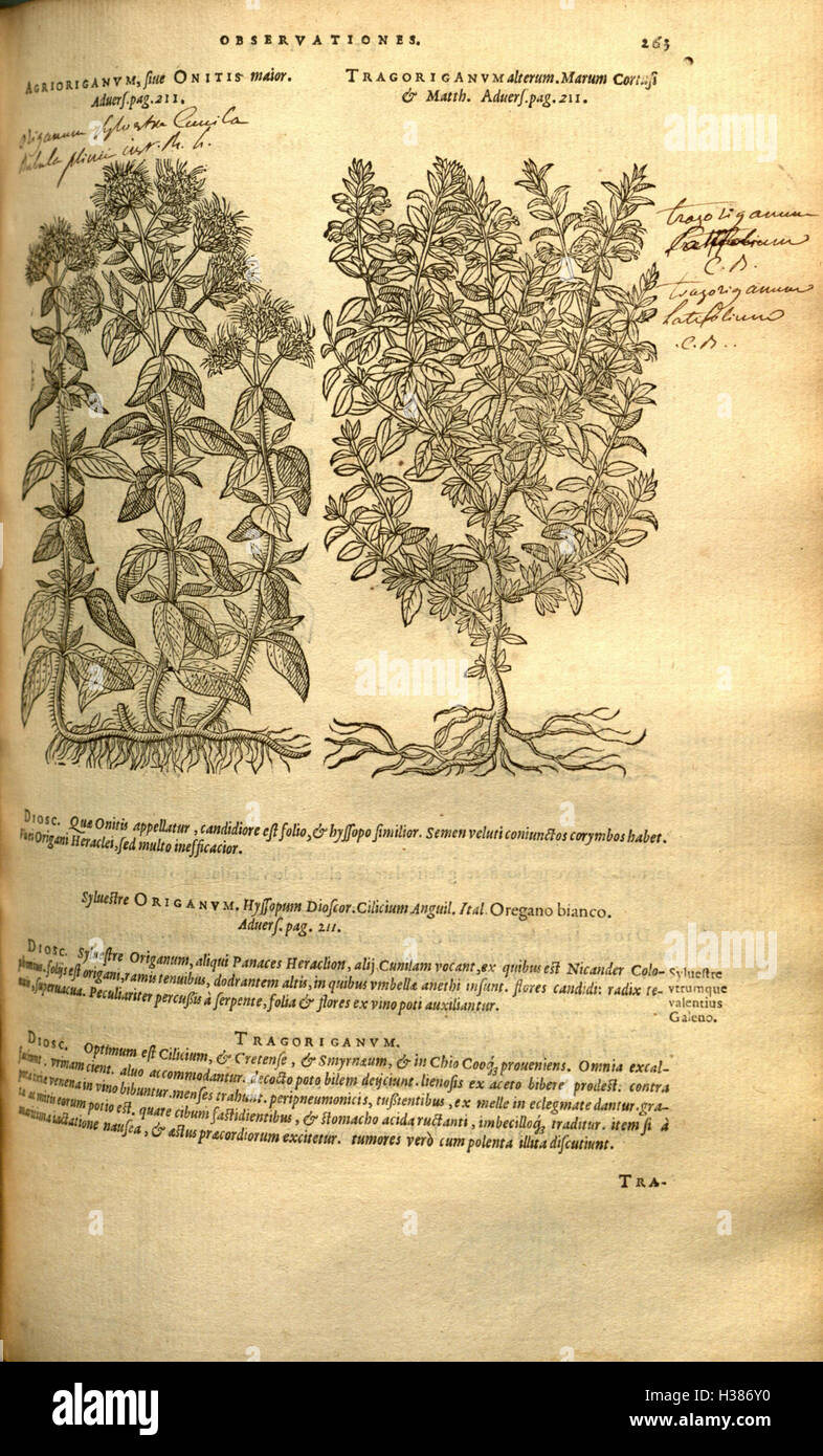 This botanical work explores plant species and their characteristics ...