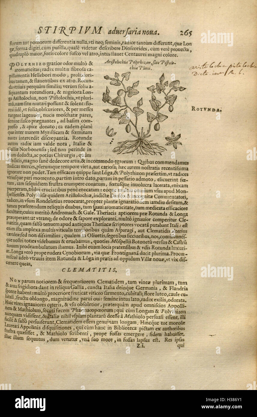 A botanical work detailing the history and properties of plants ...