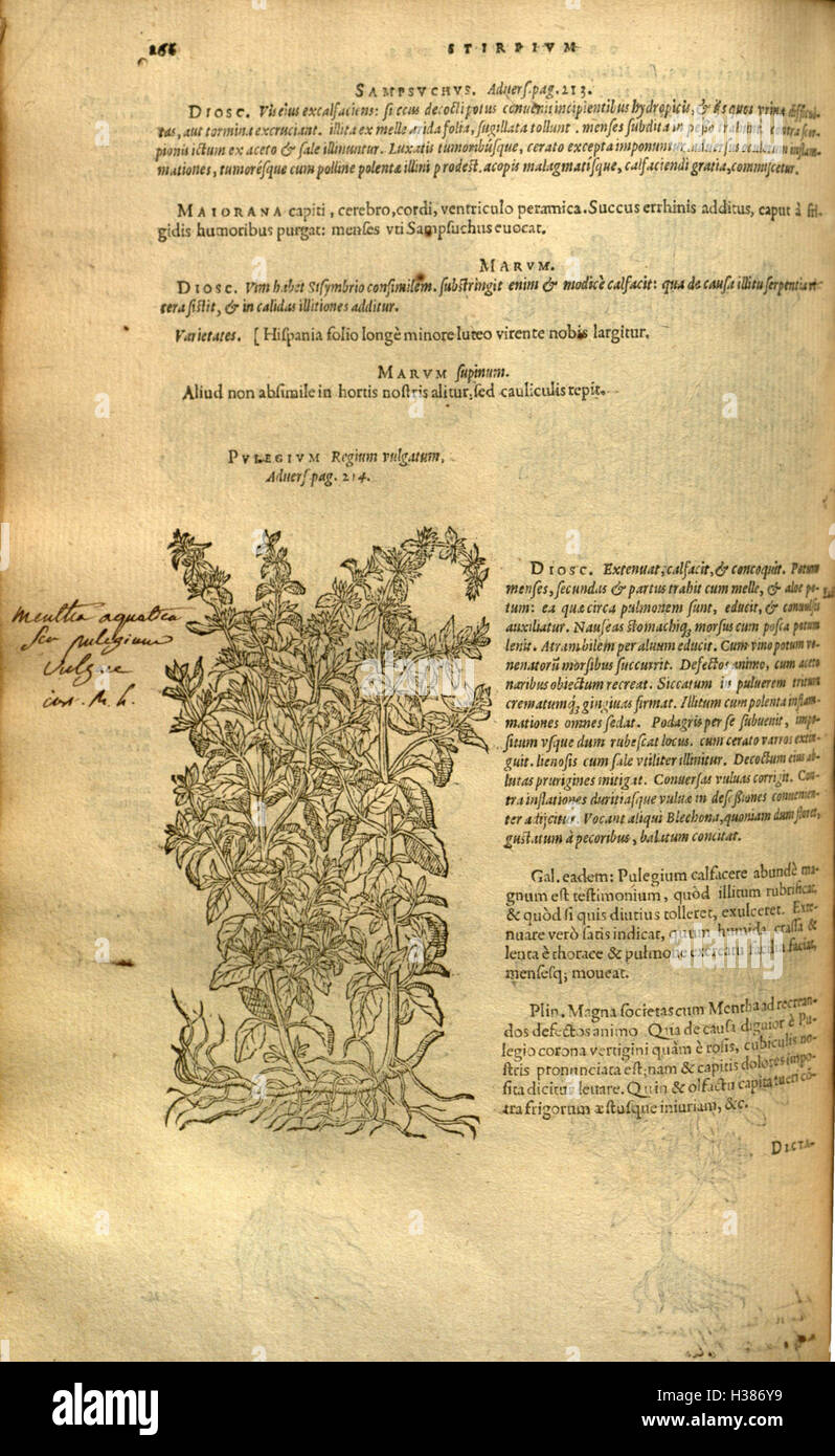 This botanical work examines the history of plant species, focusing on ...