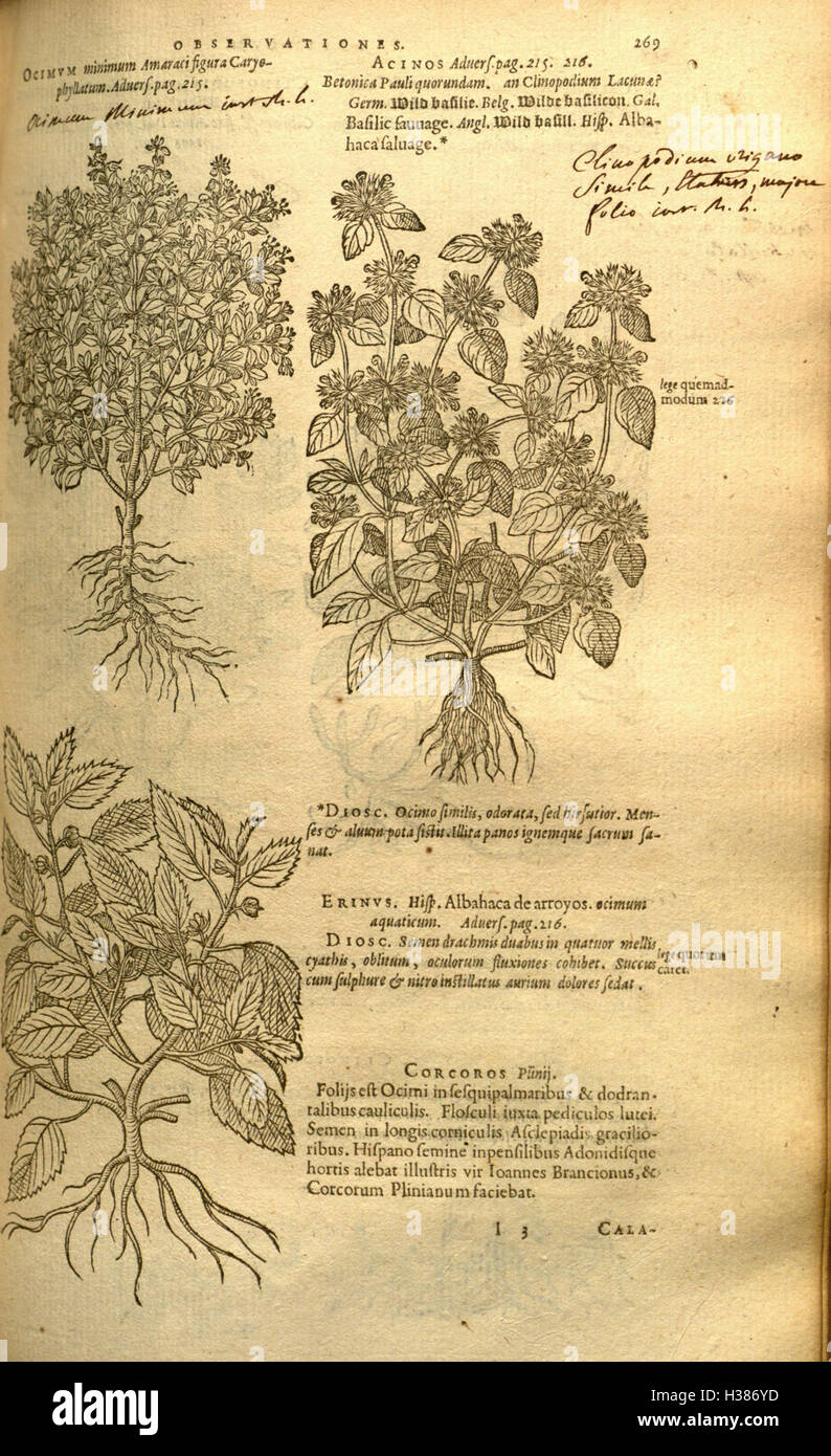 A botanical work focused on the history and properties of plants ...
