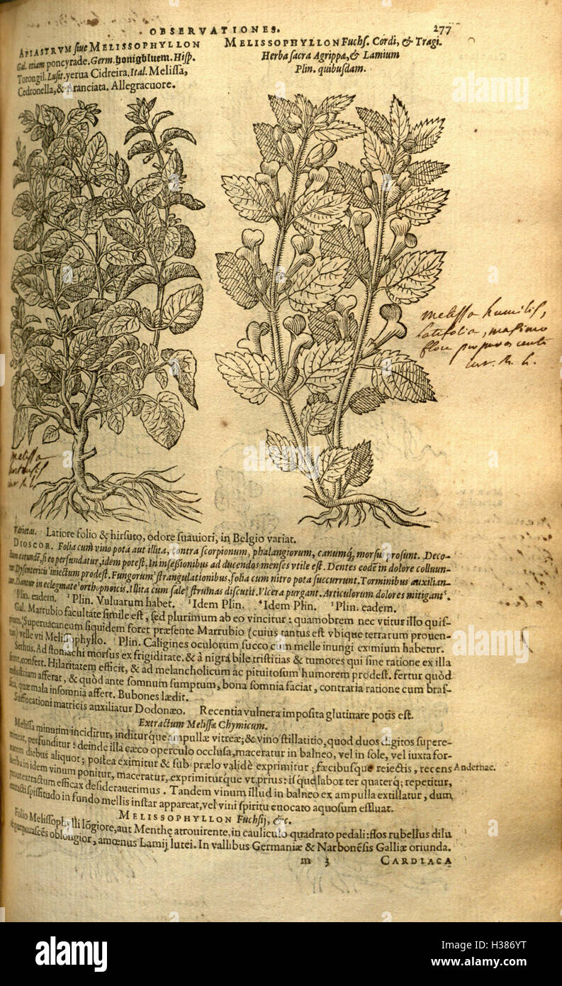 This work is a botanical catalog detailing the history and ...