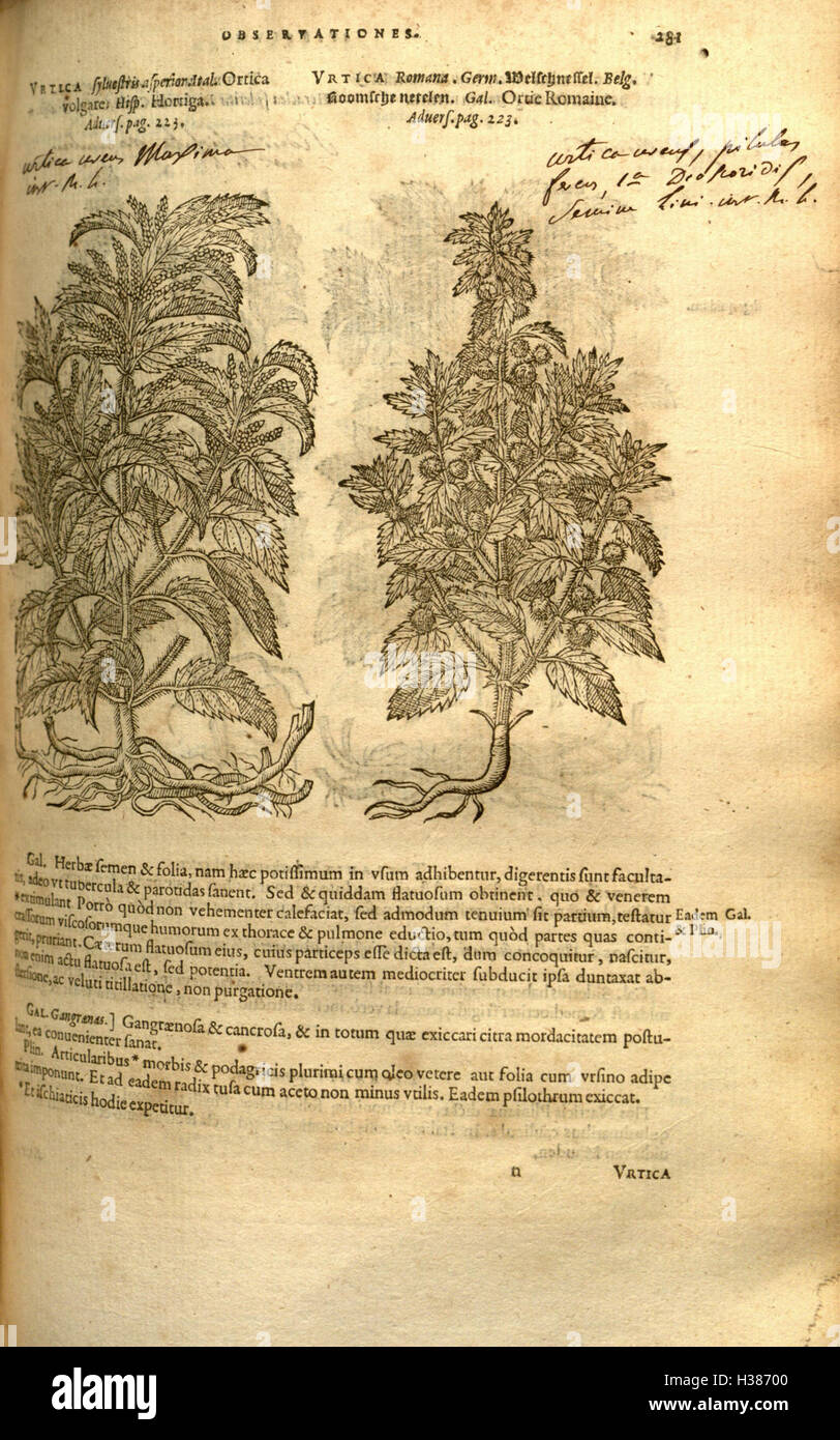 This work focuses on the history of plants and herbs, detailing their ...