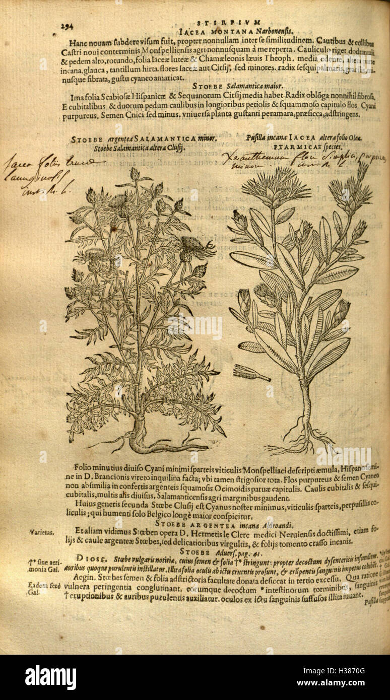 This botanical work, translated as 'The History of Plants,' offers ...