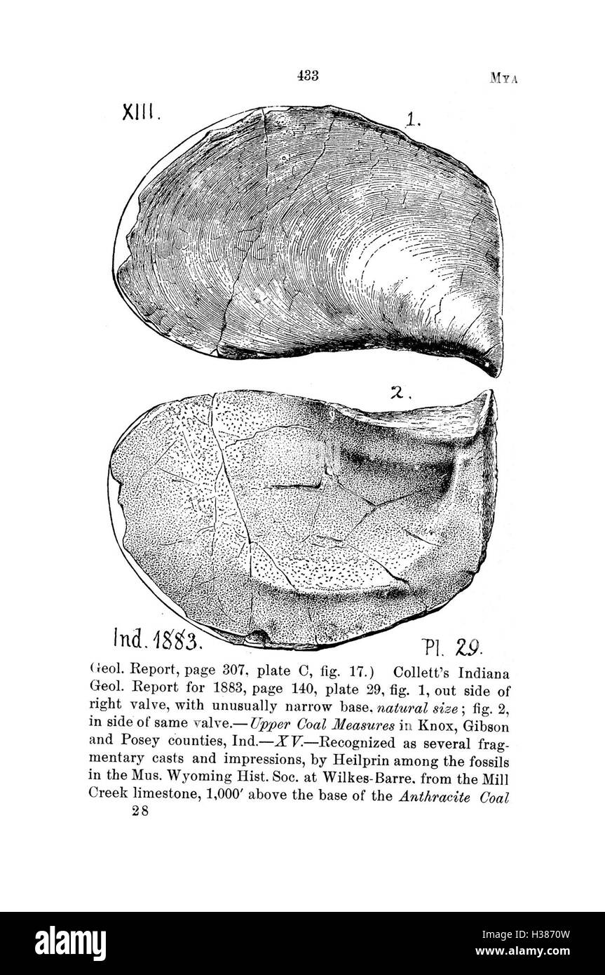 'A Dictionary of the Fossils of Pennsylvania' compiles an extensive ...