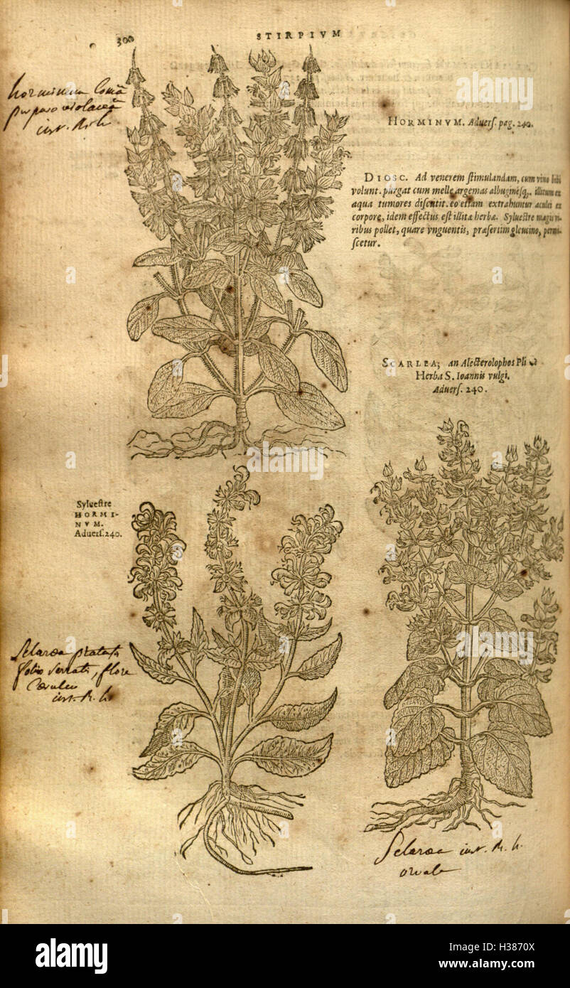 This botanical work discusses the history and classification of plants ...