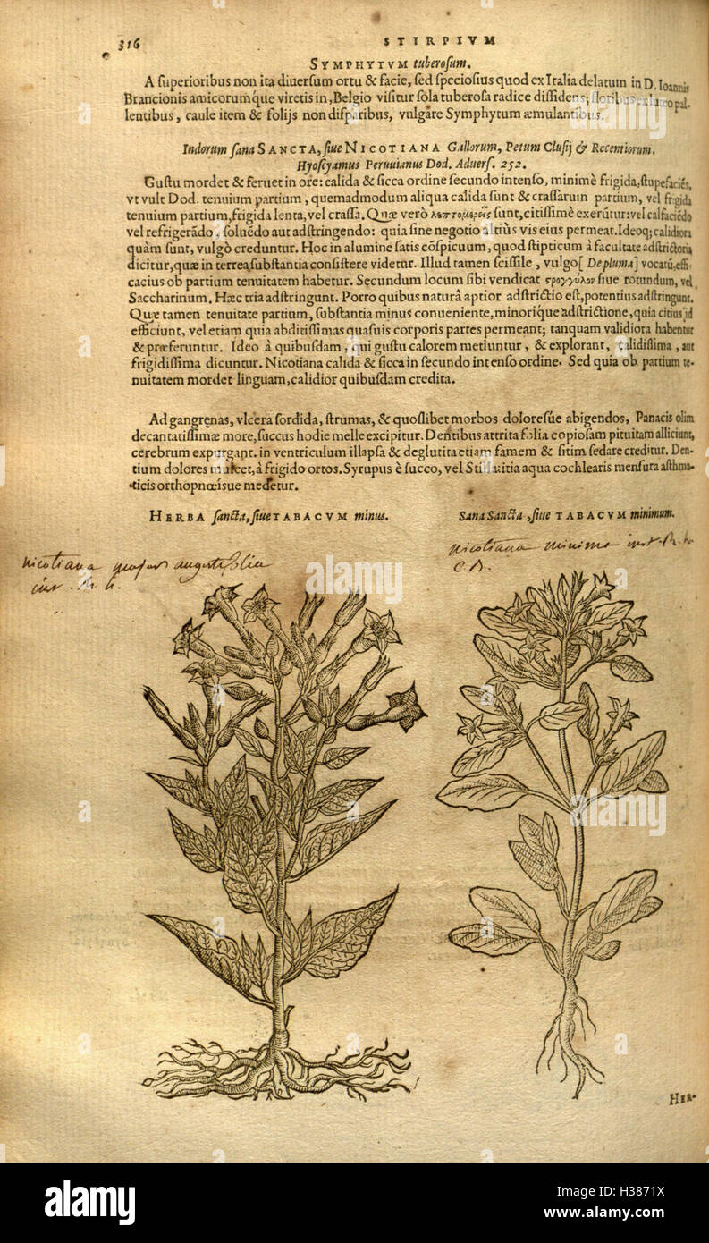 This botanical work presents the history of plants, including detailed ...