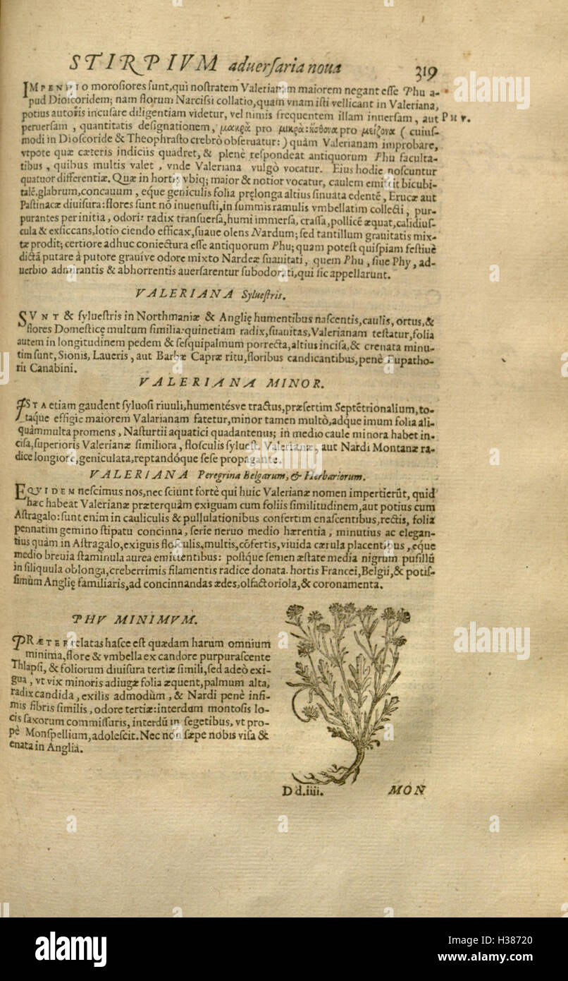 Work details medicinal plants hi-res stock photography and images - Alamy