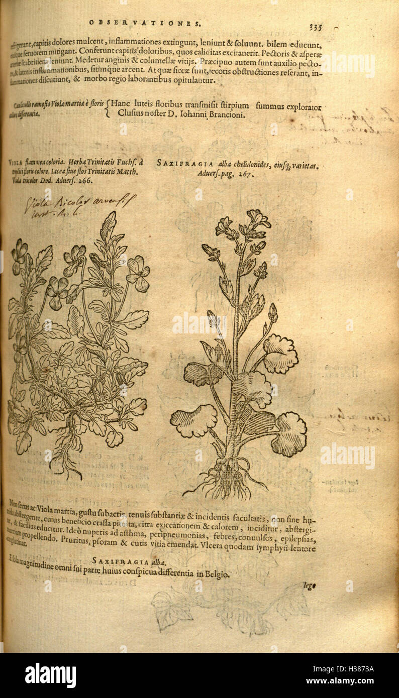 This botanical text, focusing on plant species and their ...