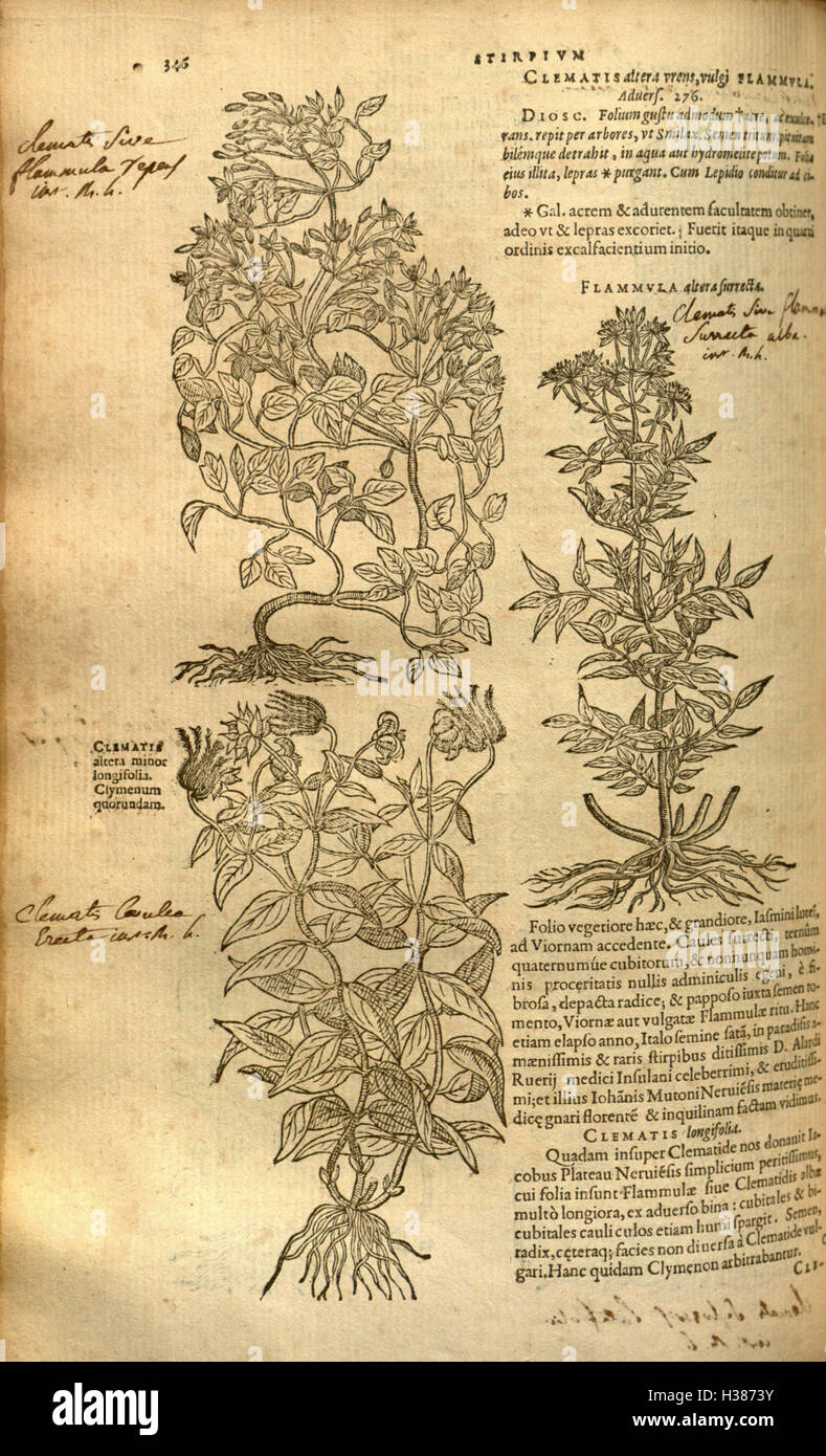 A botanical work focused on the history of plants and plant species ...