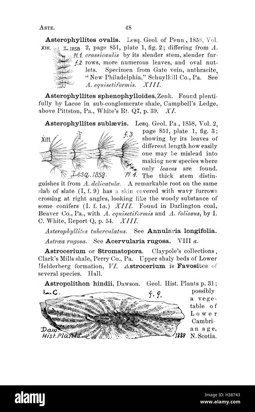 This dictionary provides detailed descriptions and classifications of ...